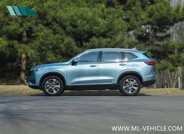 Çin Özelleştirilmiş HAVAL H6 PHEV - Çin'de Üretilen Toptan HAVAL H6 PHEV